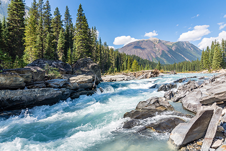 Fluor reaches LNG project milestone | Tanks and Terminals